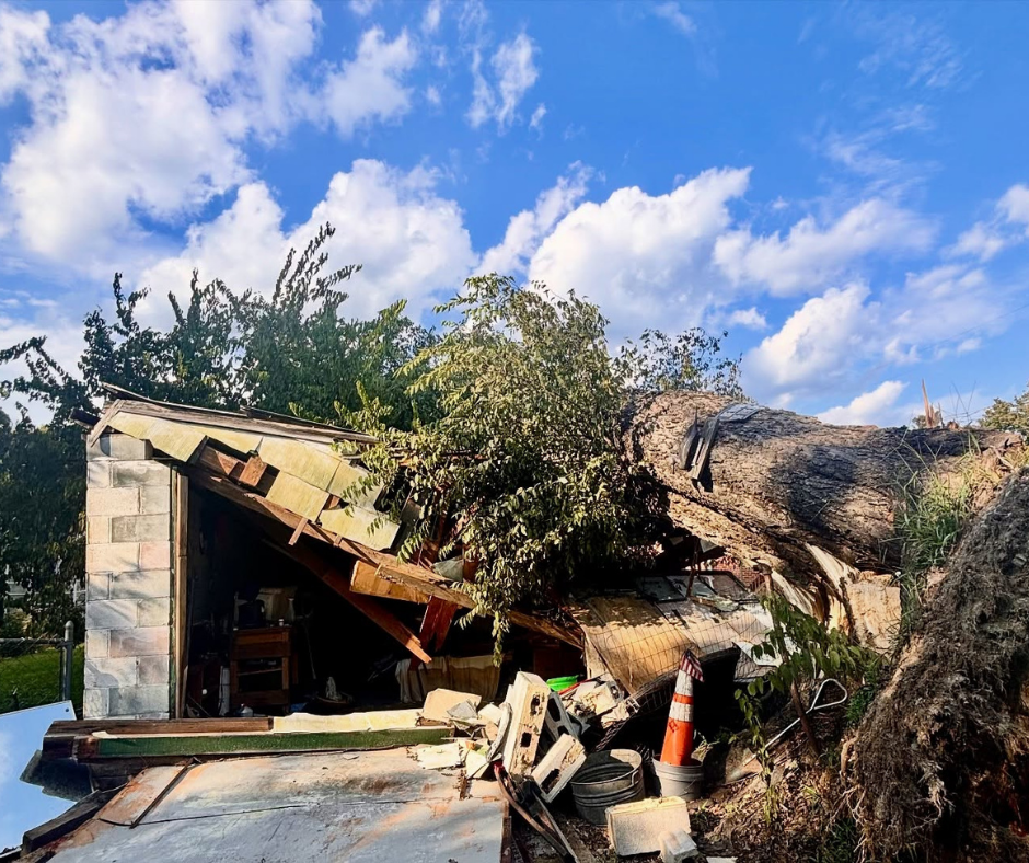 Emergency Tree Removal in Richmond: What to Do When a Storm Hits | Tree ...